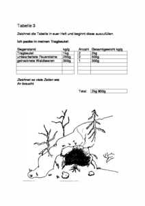 prepolino.ch :: Themen :: Geschichte :: Altsteinzeit-Werkstatt